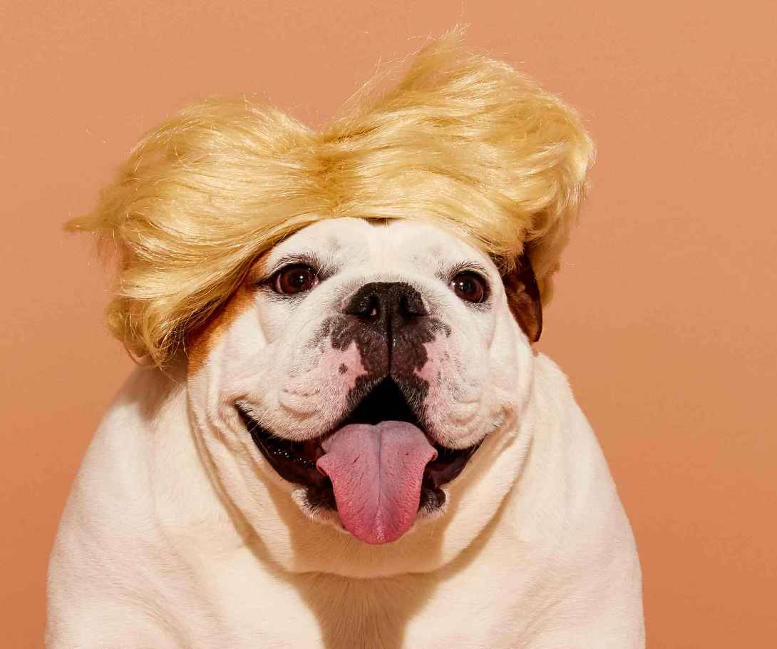 Rachel Sacks – An experienced and versatile writer creating editorial ...